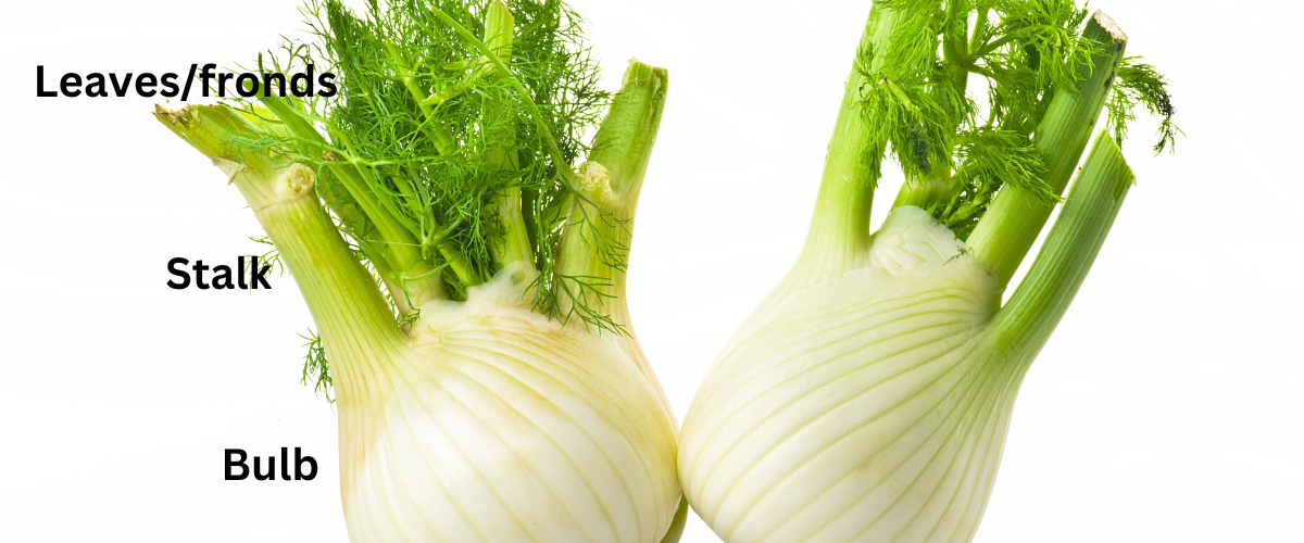 Creamy Fennel Bruschetta