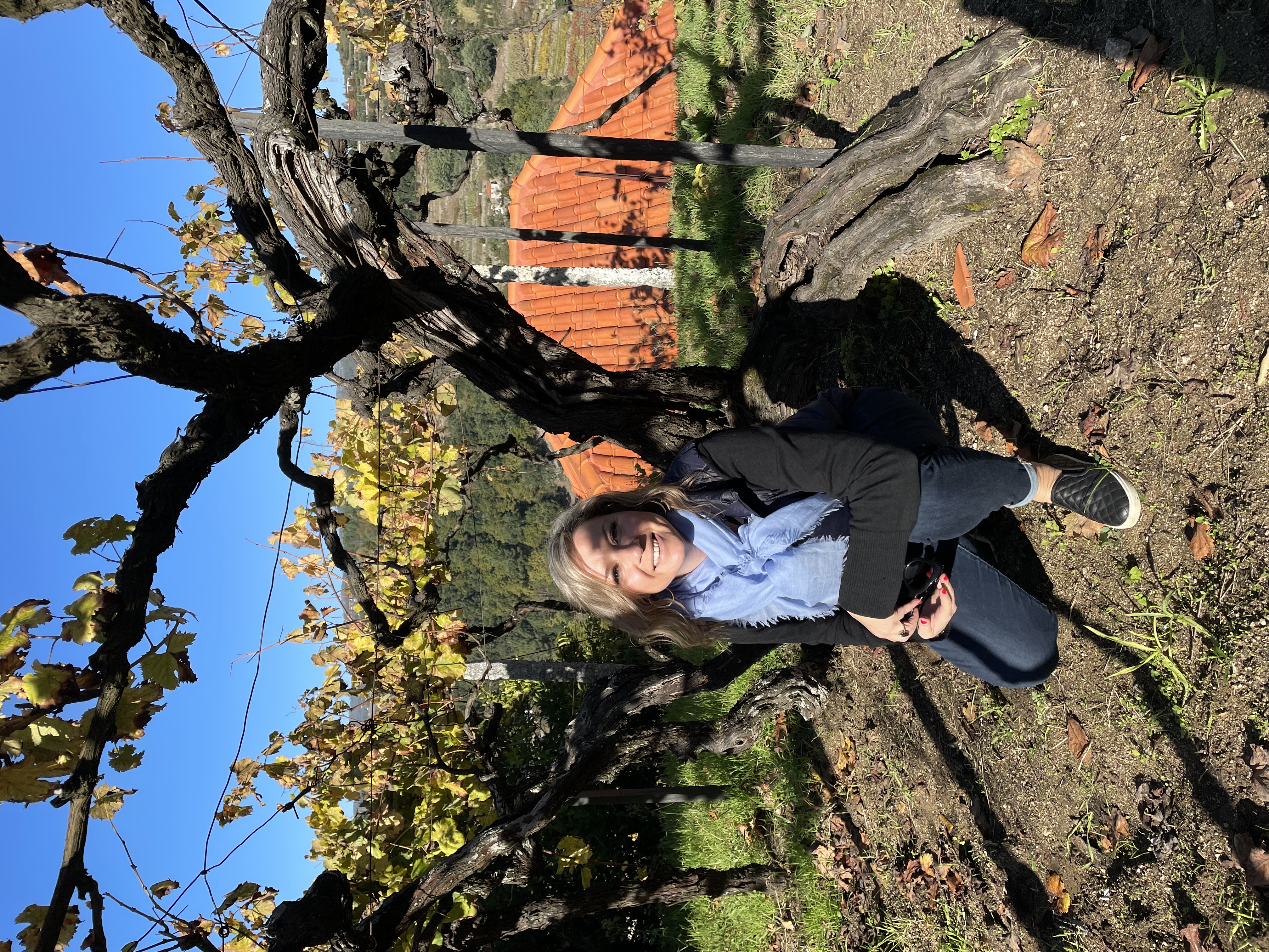 What Does Old Vines Mean?